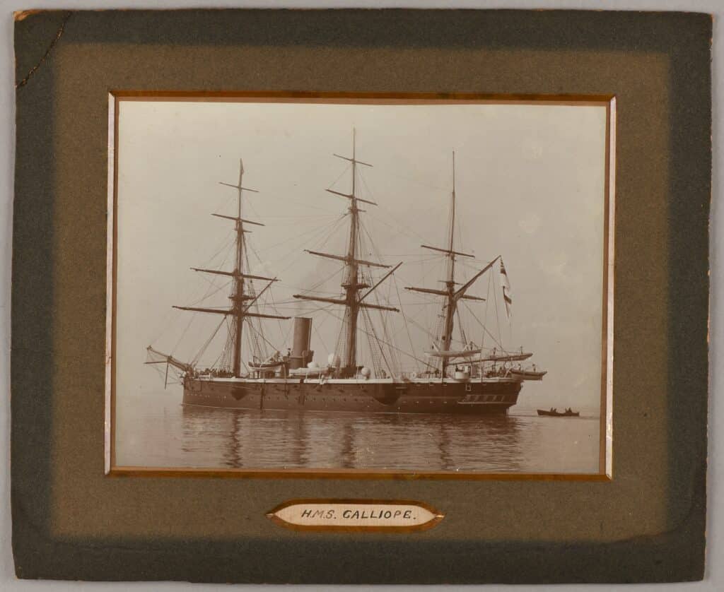 New Collection Items