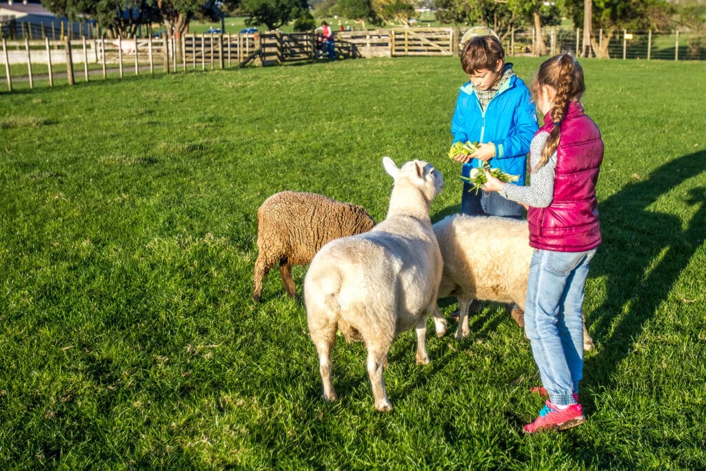 10 fun free activities to do in Auckland with your family