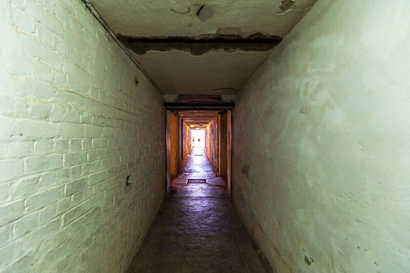 Maungauika/North Head Tunnels for fun free day out