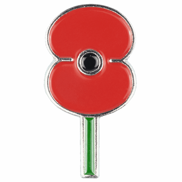 Lapel pins - assorted designs — National Museum of the Royal New ...